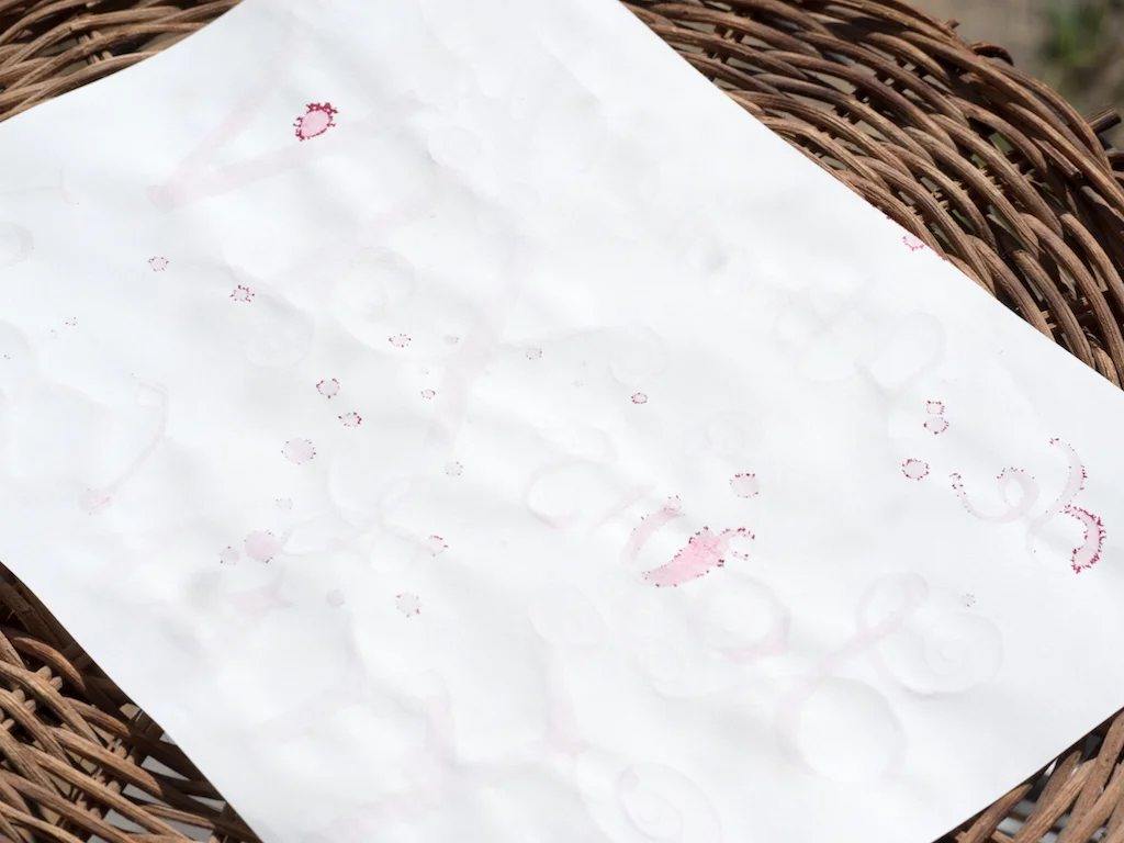 Midori MD Cotton Notebook A4 Blank: A Review — The Pen Addict