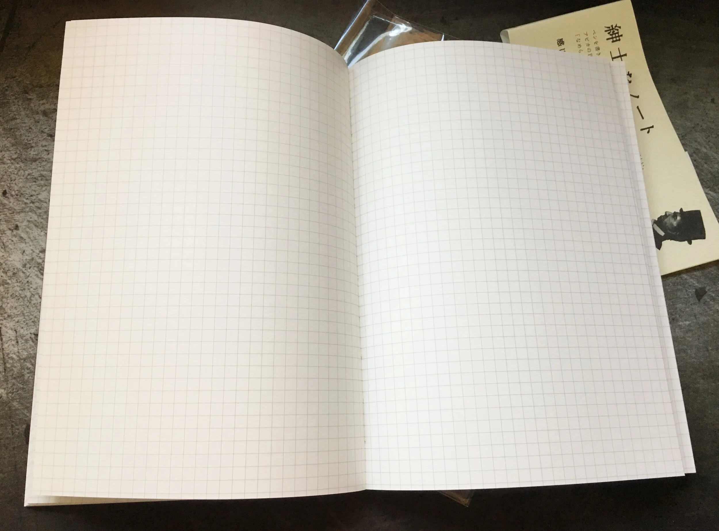 Apica CD Premium Notebook Review — The Pen Addict