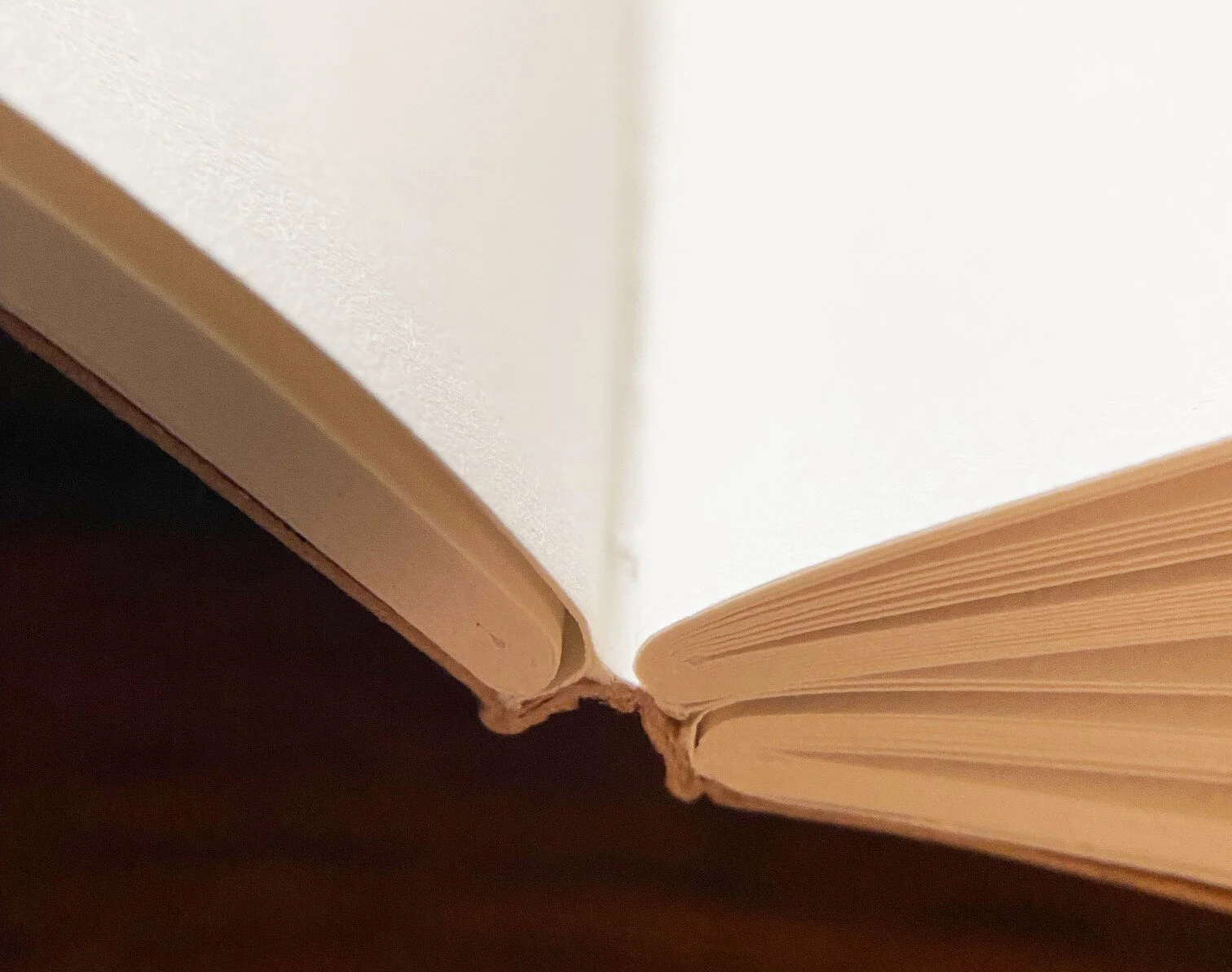 Hightide Puggy's Best Notebook Review — The Pen Addict