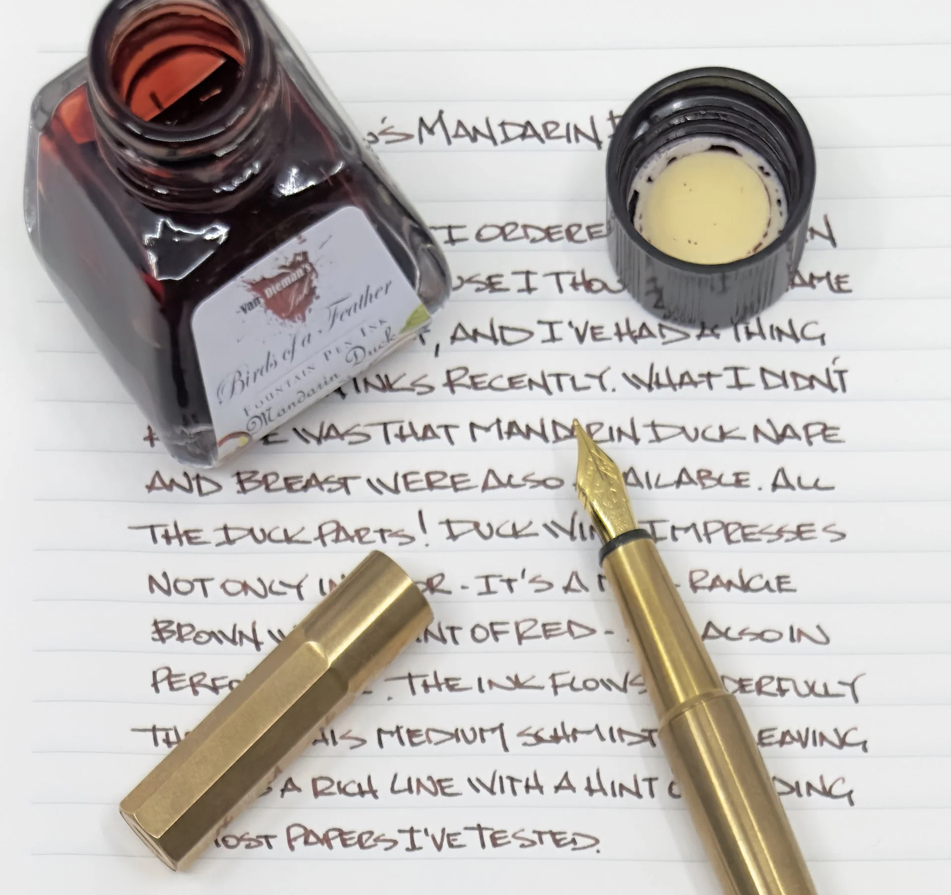 Pairings Party: Andhand Method Fountain Pen, Van Dieman’s Mandarin Duck ...