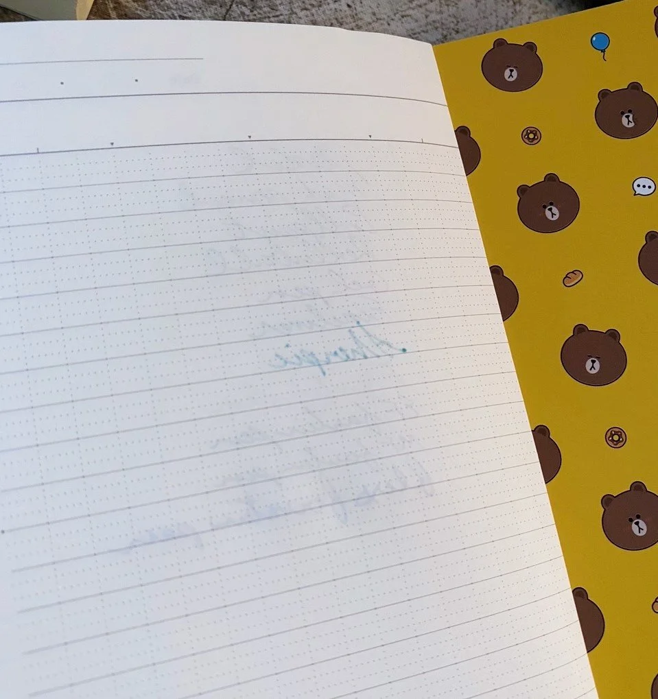 Itoya Oasis Line Friends A6 Notebook Review — The Pen Addict