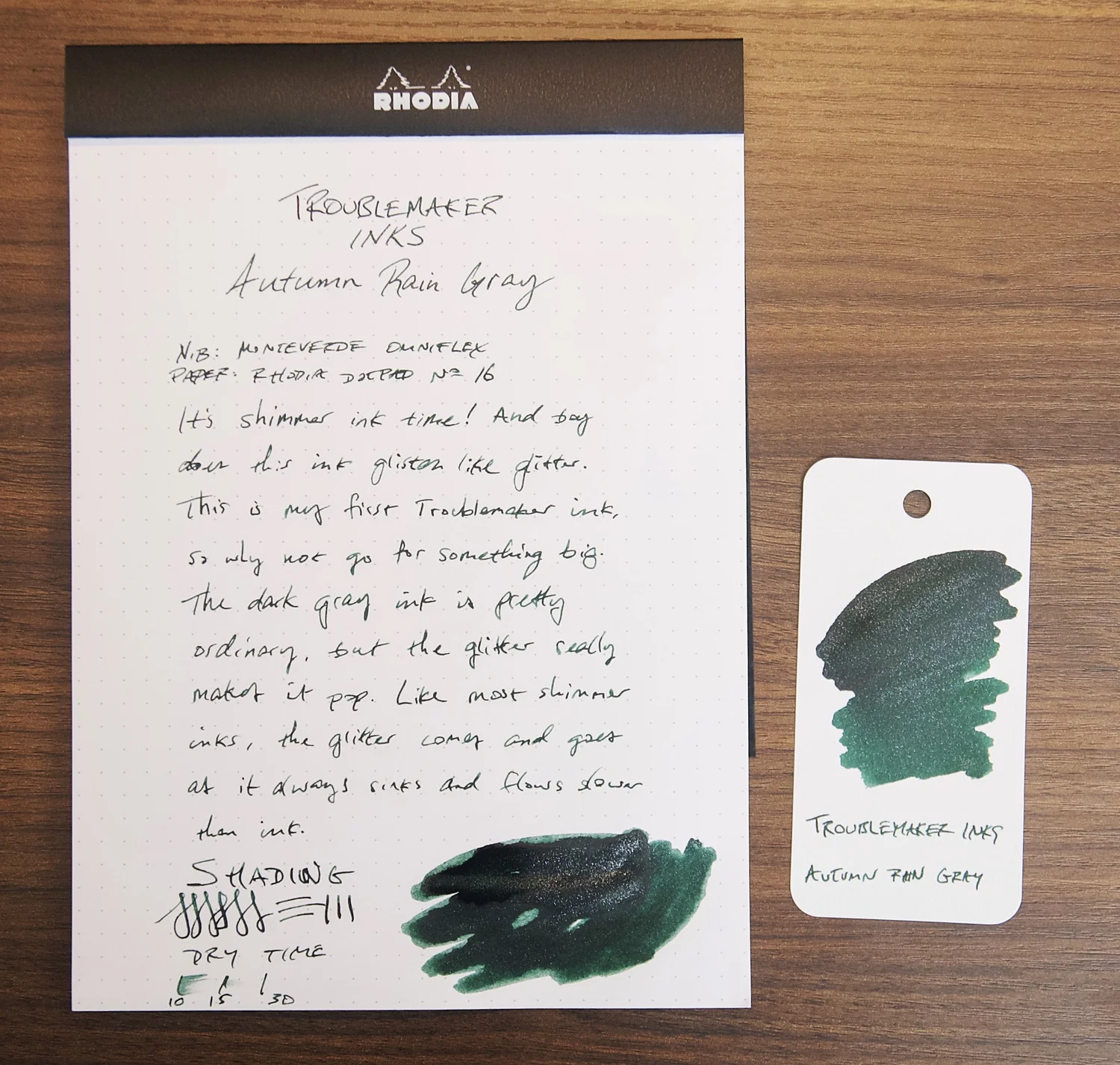 Troublemaker Inks Autumn Rain Gray Review — The Pen Addict