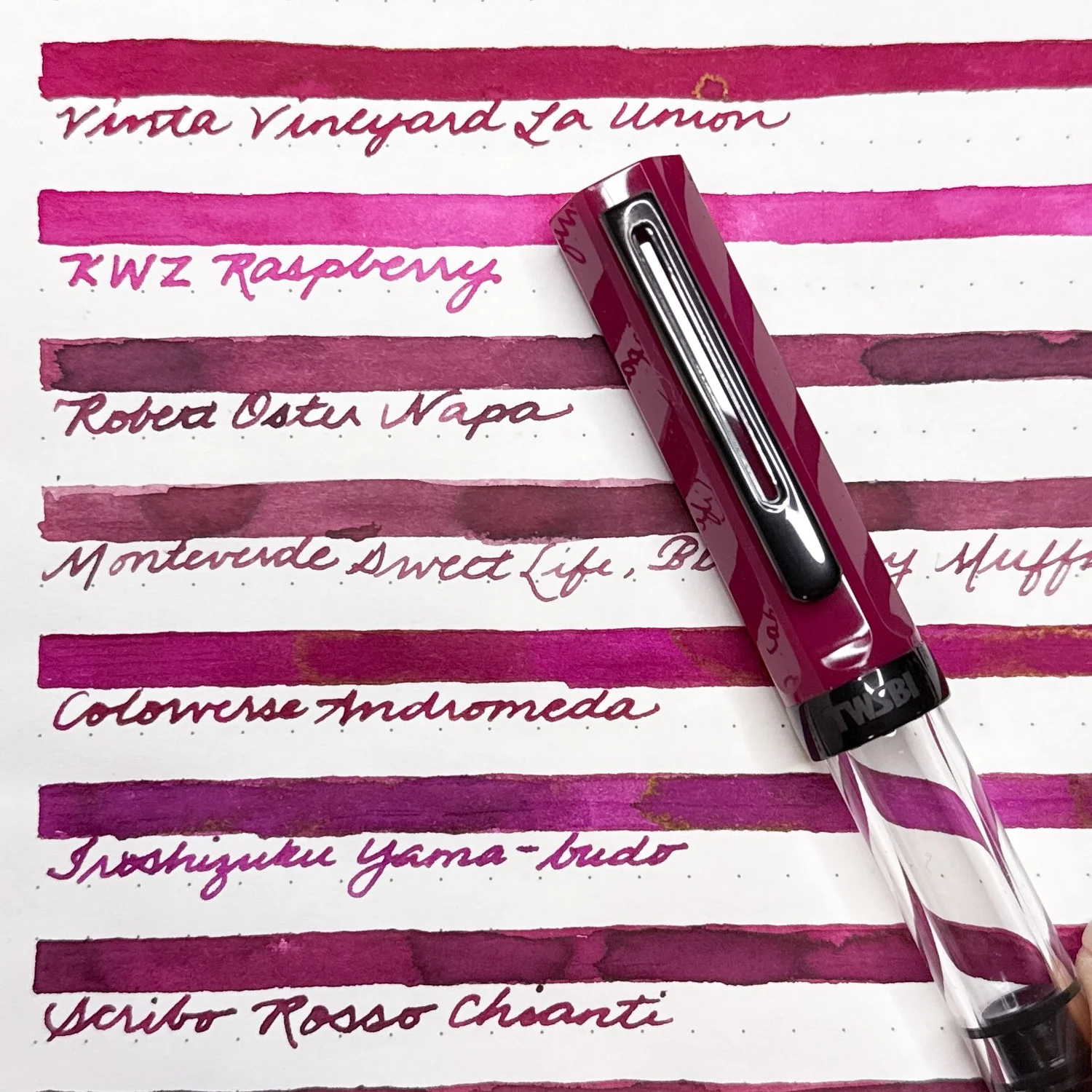 Inks for the TWSBI ECO Plum with Onyx Fountain Pen — The Pen Addict