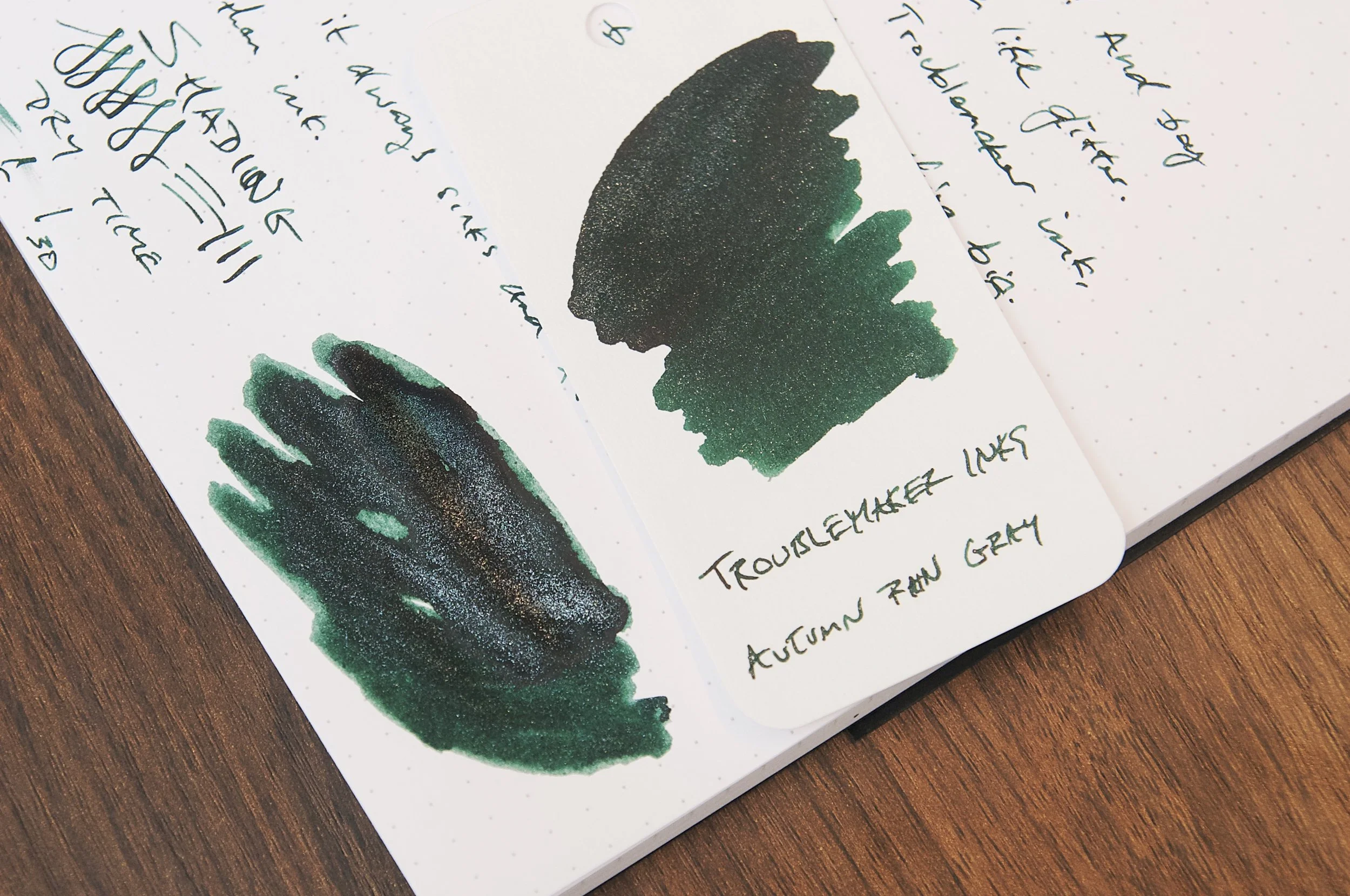 Troublemaker Inks Autumn Rain Gray Review — The Pen Addict