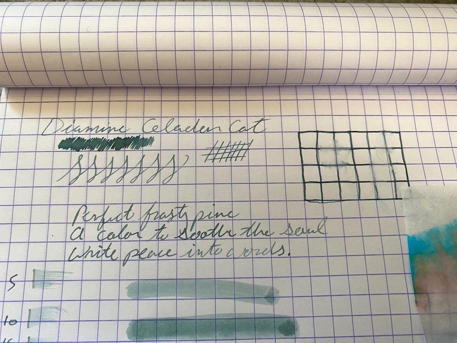 Diamine Celadon Cat Ink Review — The Pen Addict