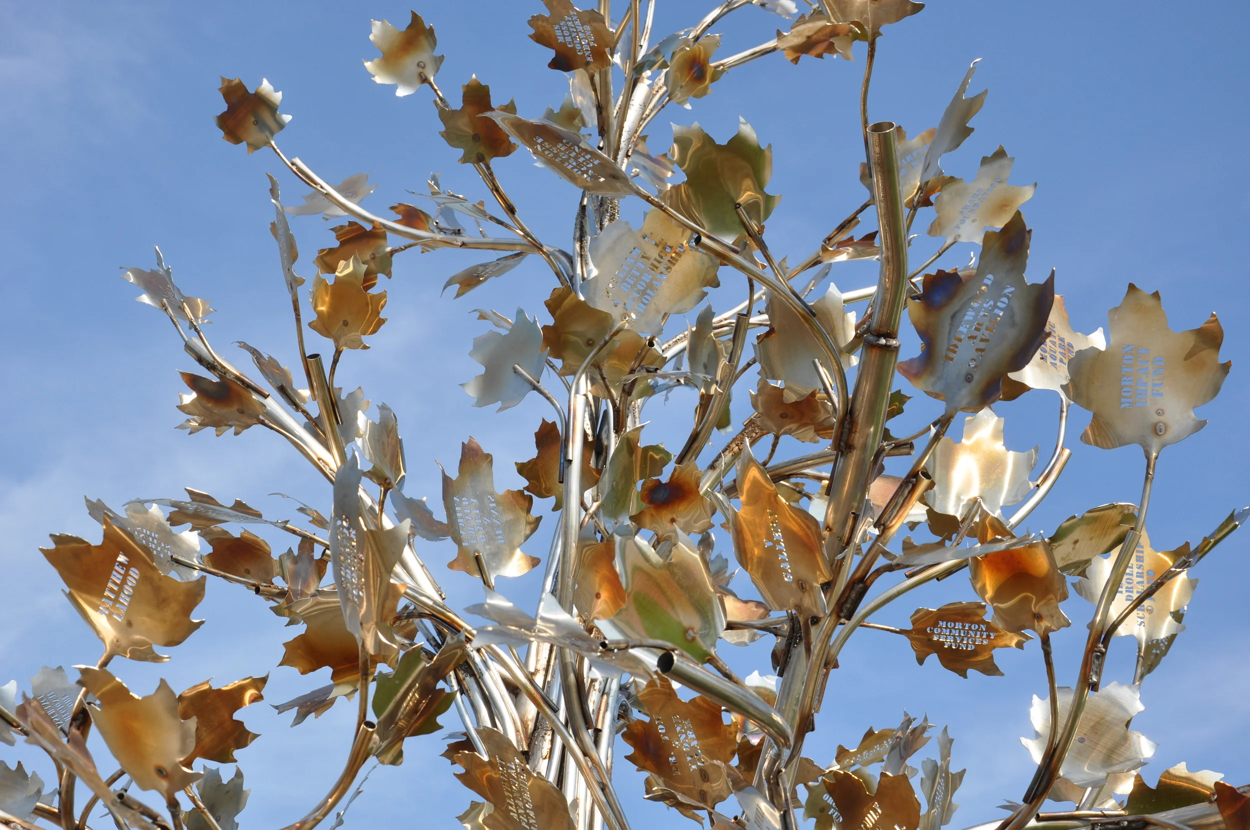 Giving Tree Story — Morton Community Foundation