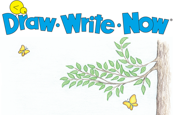 Our Books Draw Write Now Draw Your World