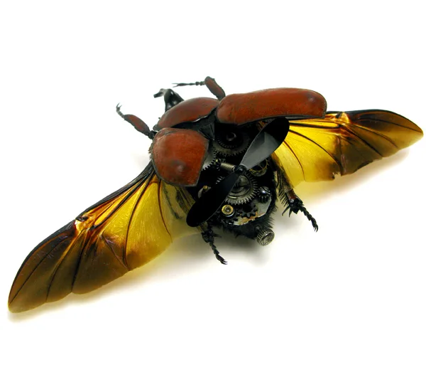 Steampunk Insect Cyborgs by artist Mike Libby — 5 things I learned today