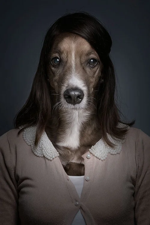 Underdog: Humanized Dog Portraits from Sebastian Magnani — 5 things I ...