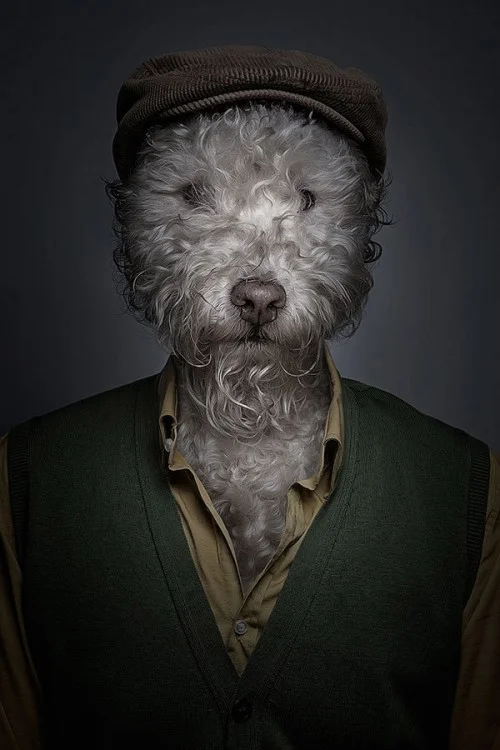 Underdog: Humanized Dog Portraits from Sebastian Magnani — 5 things I ...