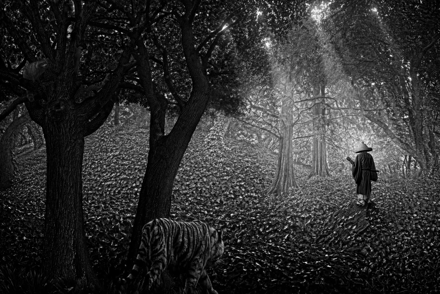 Sumeru - Illustrations by Nick Pederson of Zen Buddhist training and ...