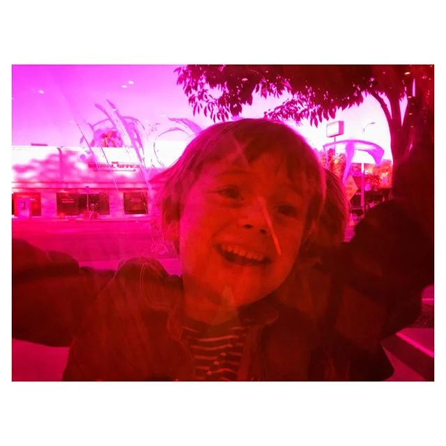 About — DAVID PAGANI