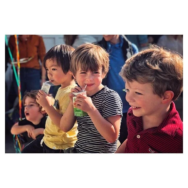 About — DAVID PAGANI