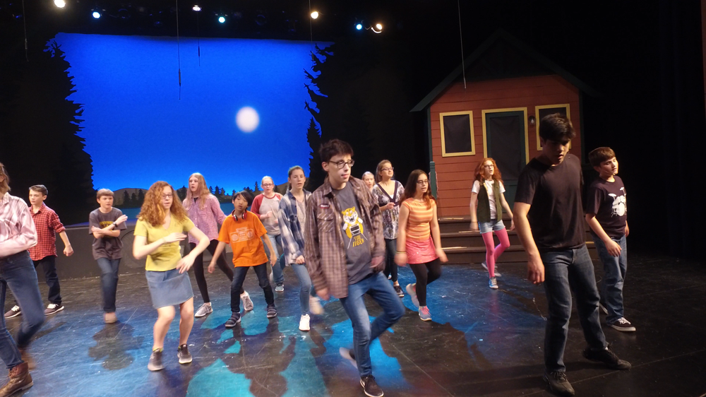 Disney's Camp Rock - Spring 2018 — Wydown Theatre Company