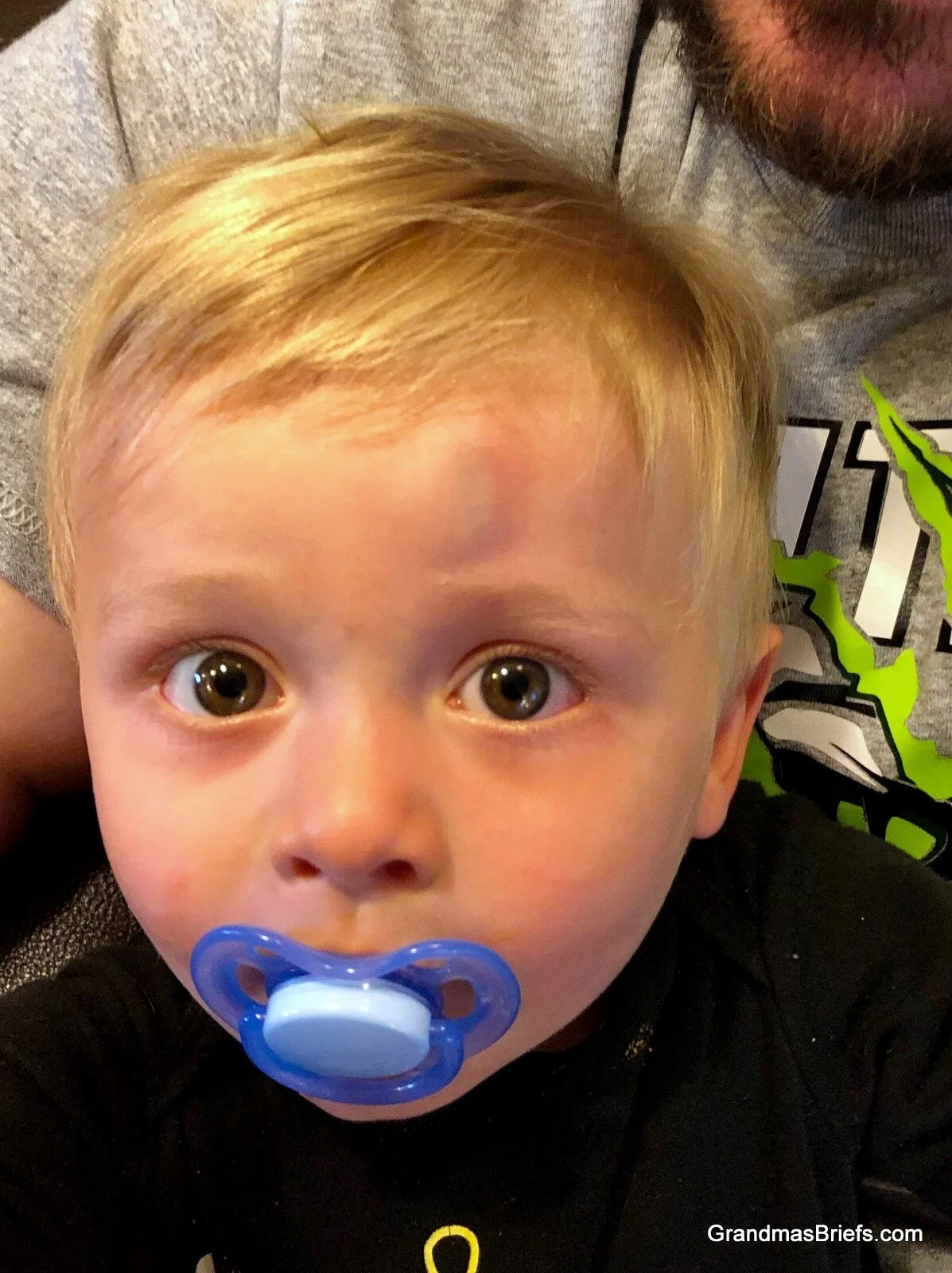 Grandma's Briefs — Blog — A grand goose egg