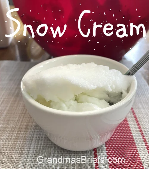 Grandma's Briefs — Grandma's Recipe Box — Snow Cream
