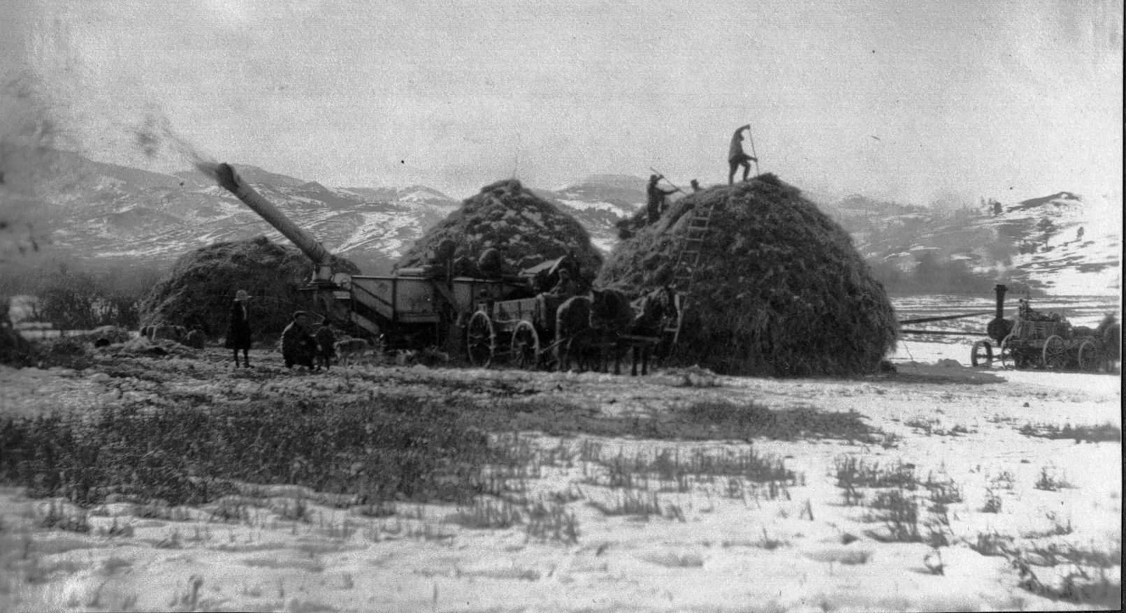 HISTORY-SIEBEN LIVE STOCK COMPANY