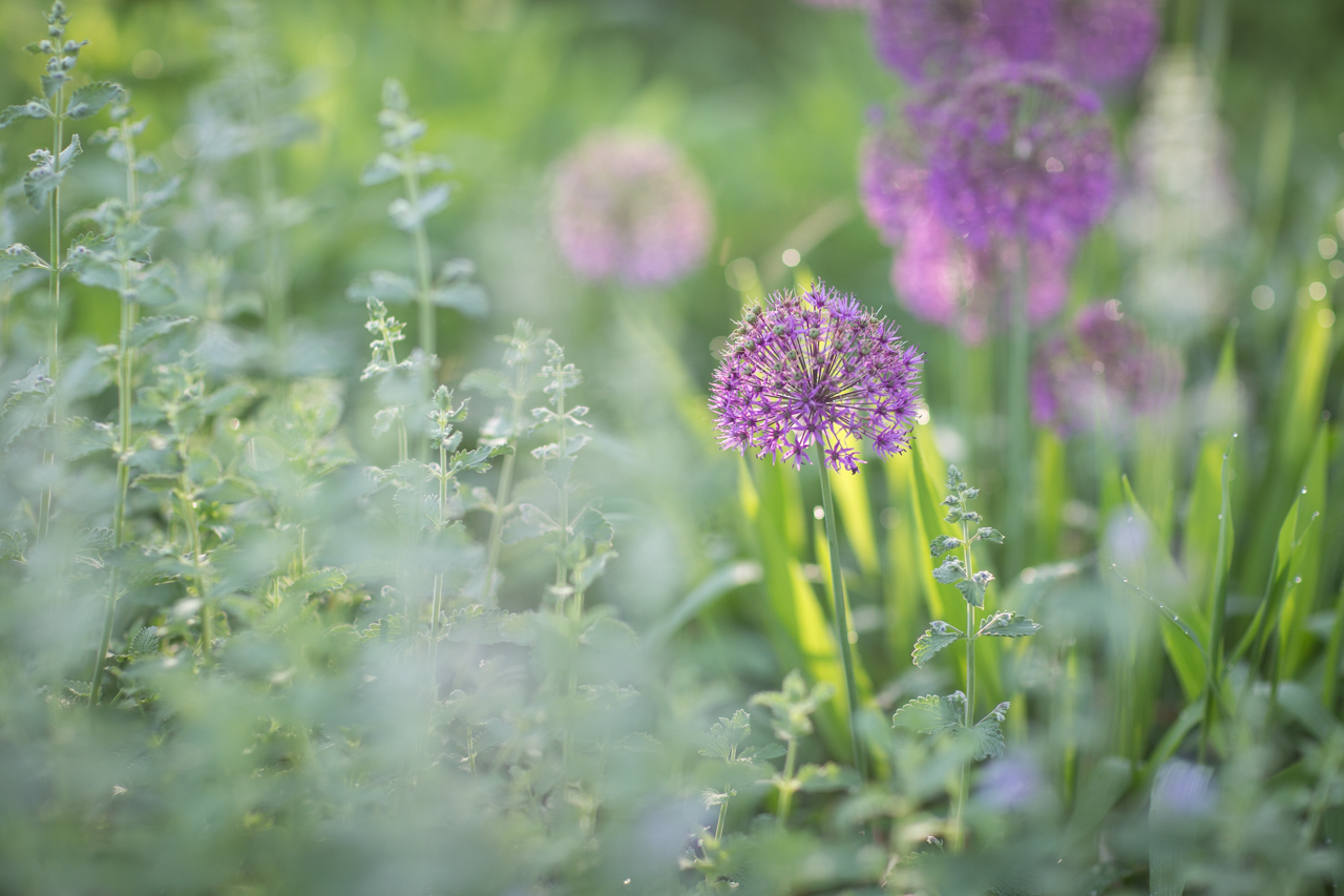 Blog — Andrea Hubbell Photography