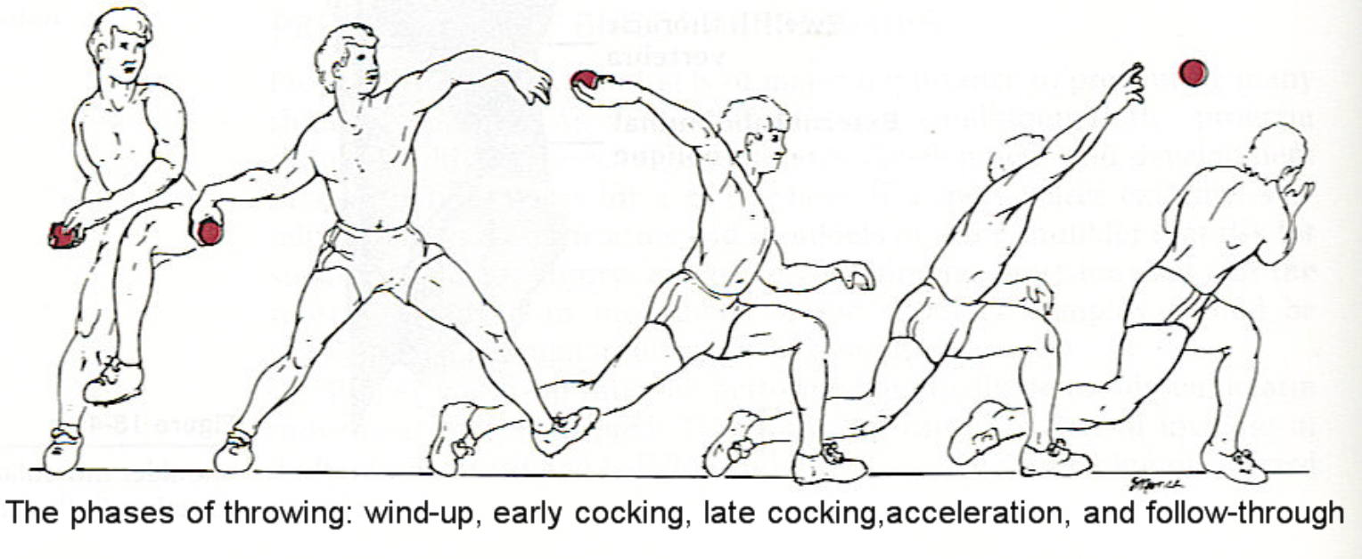 The Overhead Throw — MAX Remedial Massage and Therapy