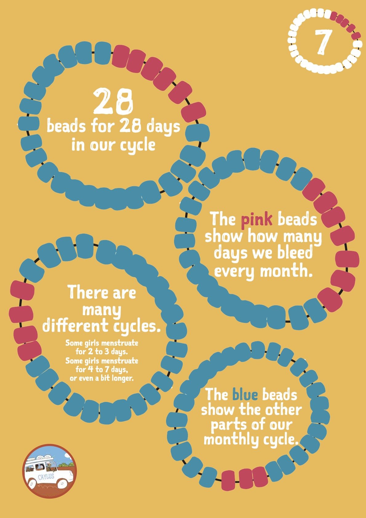 Women’s Projects — CAYLUS - Central Australian Youth Link Up Service