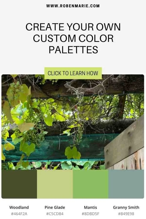 How to use Canva's Custom color palette generator