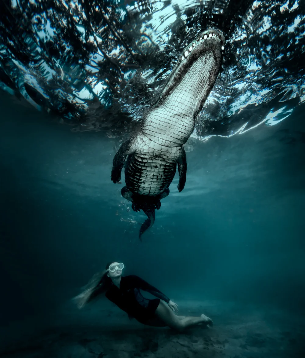 Underwater Alligator Photography — Elena Kalis