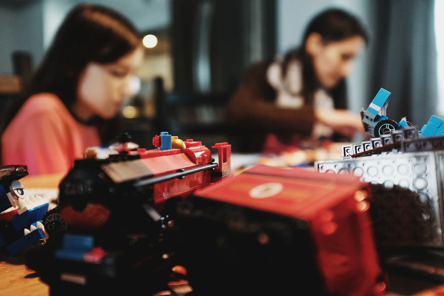 The Great LEGO Purge of 2020 — laROQUE | photographer.photographe