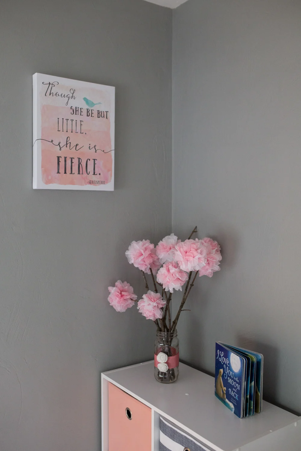 Meet Maize — Rachel Tokarski Photography