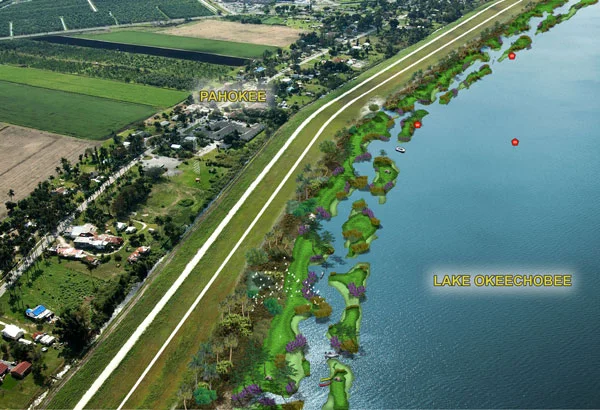 Prototypical Eco-Island Study — Landscape Architects, Planners ...