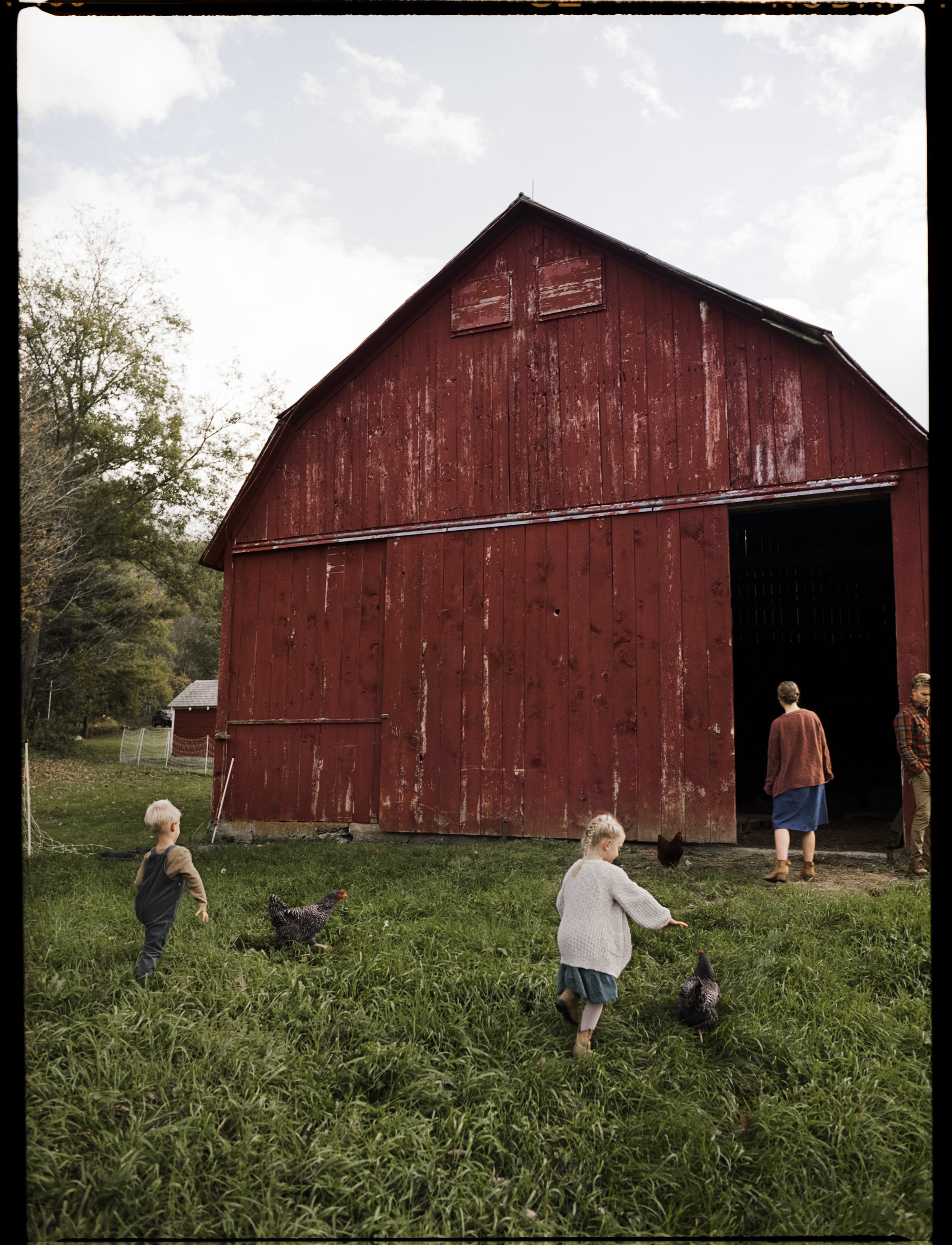 Anna's Farm — jg