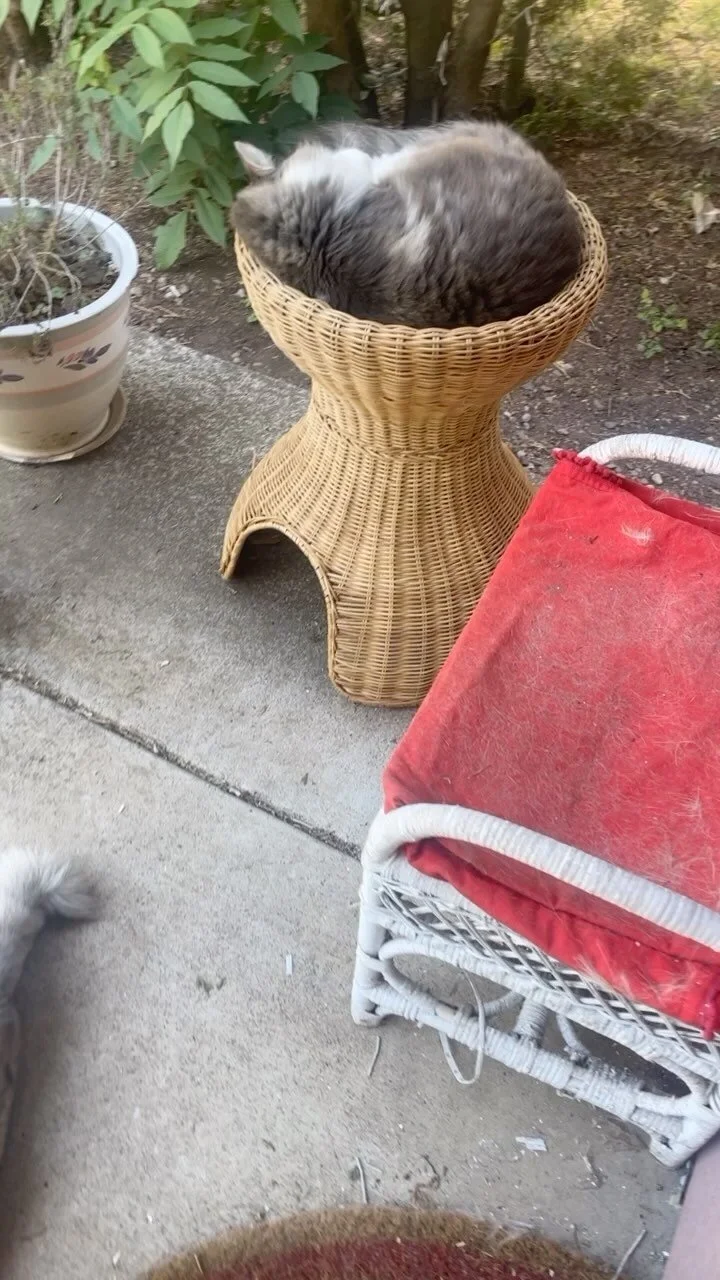 About — Jennifer Parks