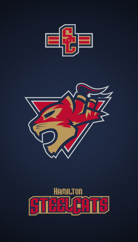 2016 Rebranding Project: Final Team Selection — icethetics.co