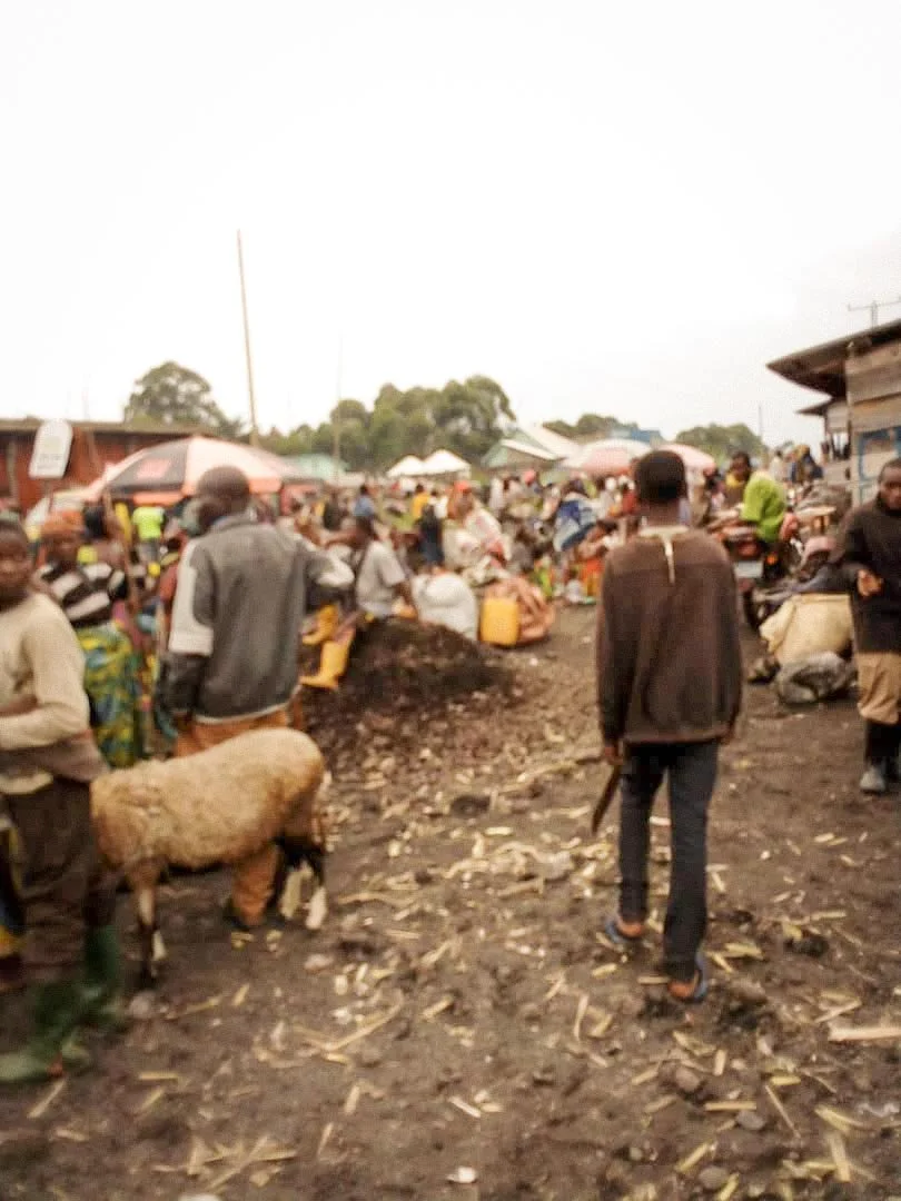 Crisis Response Goma — Hands At Work In Africa