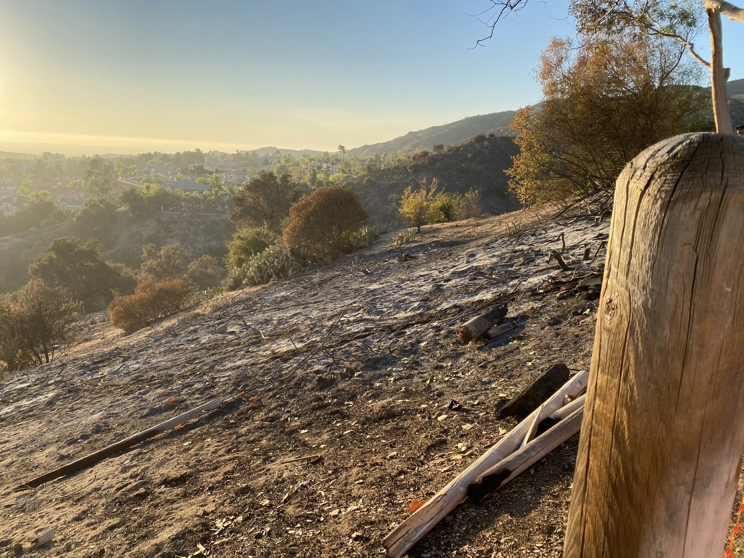 Fire Aftermath — MacSparky