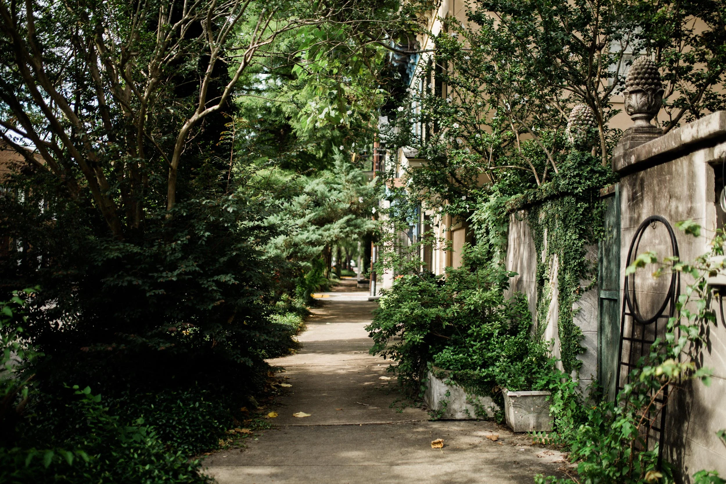 Travel Post: A Short Vacation in Savannah, Georgia — Jennifer Callahan ...