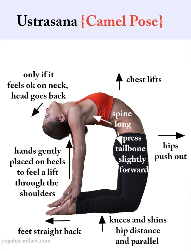 Tips for Ustrasana — YOGABYCANDACE