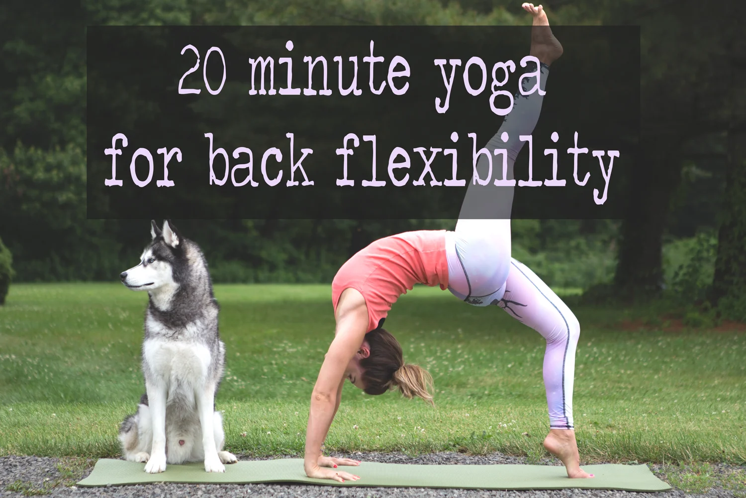 20 Minute Yoga for Back Flexibility — YOGABYCANDACE
