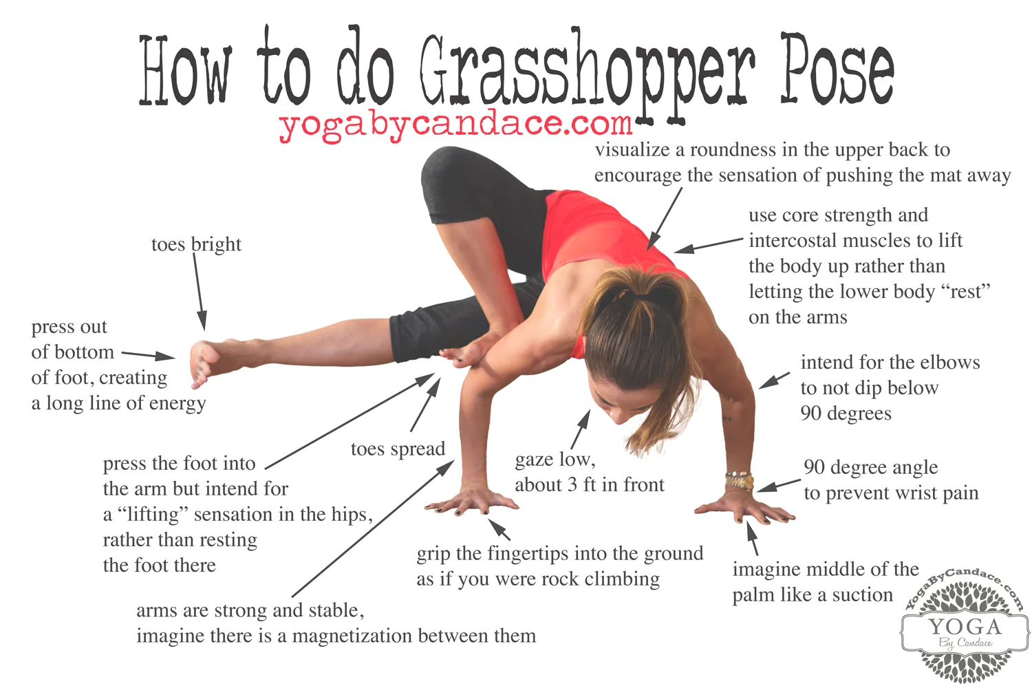 How to do Grasshopper Pose — YOGABYCANDACE