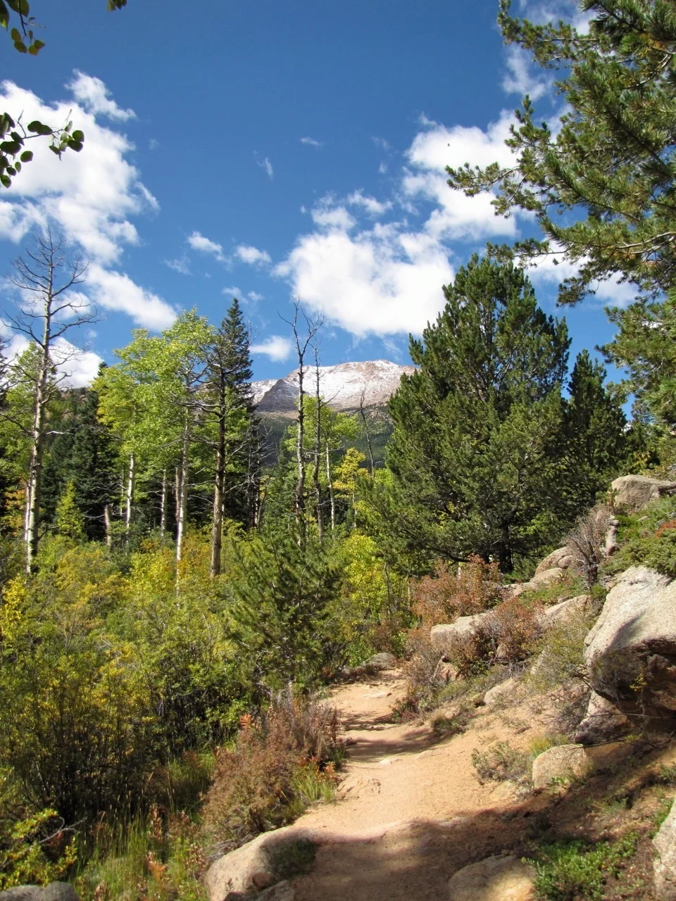 The Long, Steep Path photos — Catherine Ryan Hyde