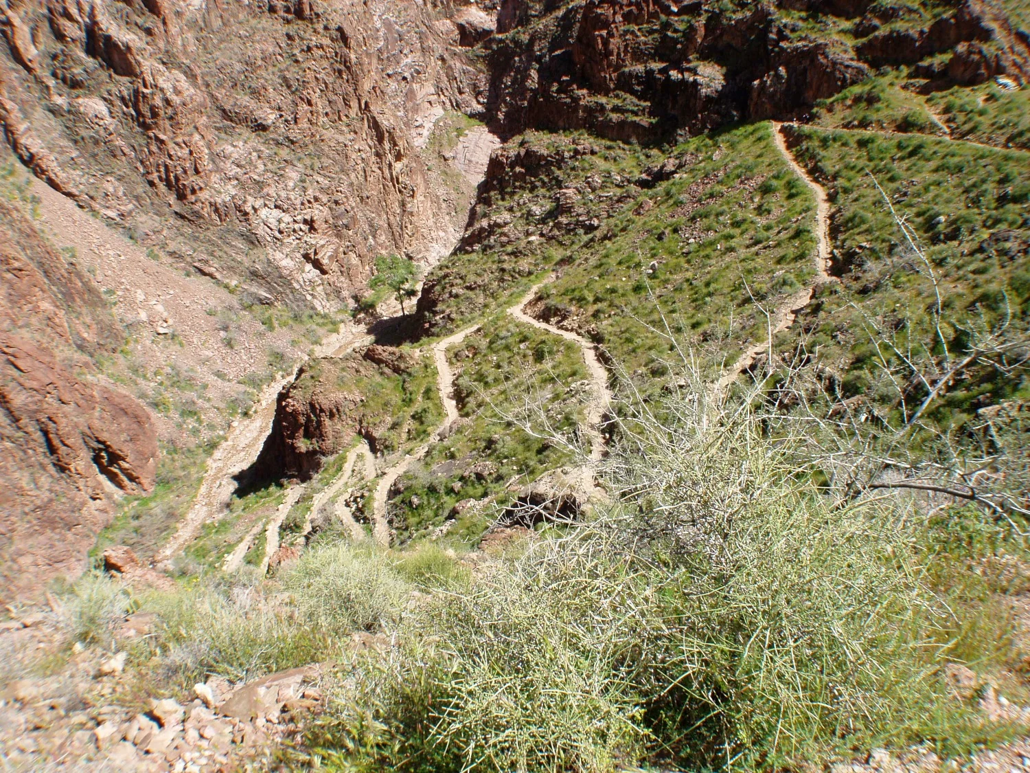 Grand Canyon — Catherine Ryan Hyde