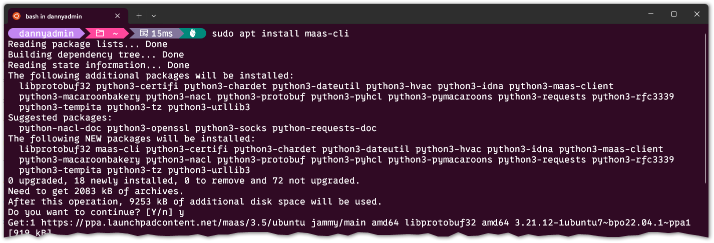 Installing MAAS CLI on WSL 2 — Crying Cloud