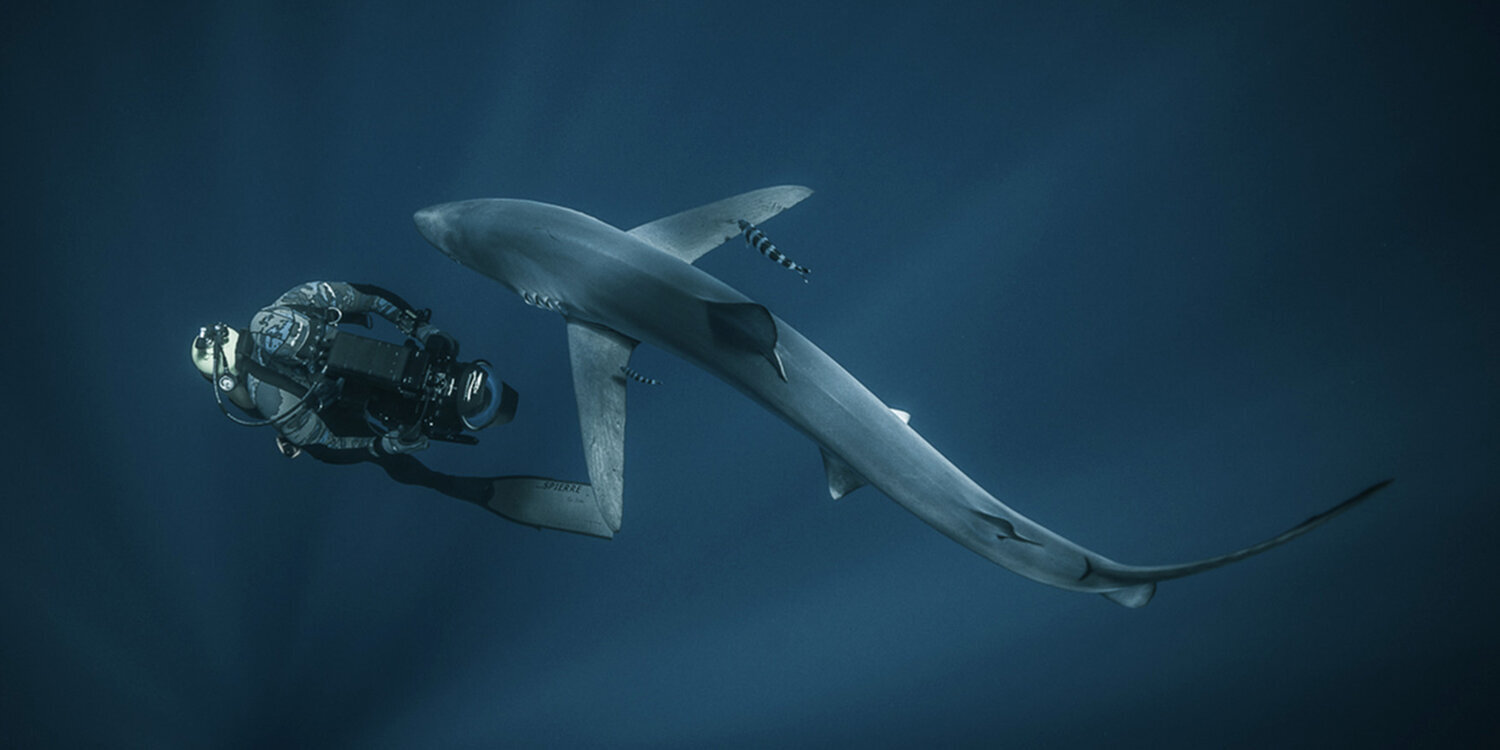 Cinematographer | Roger Horrocks