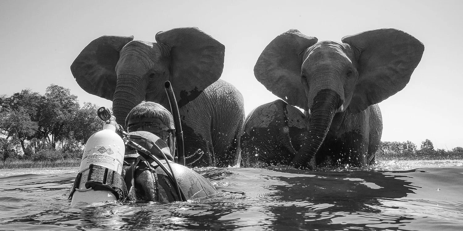 Cinematographer | Roger Horrocks