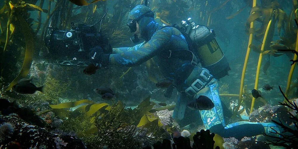 Cinematographer | Roger Horrocks