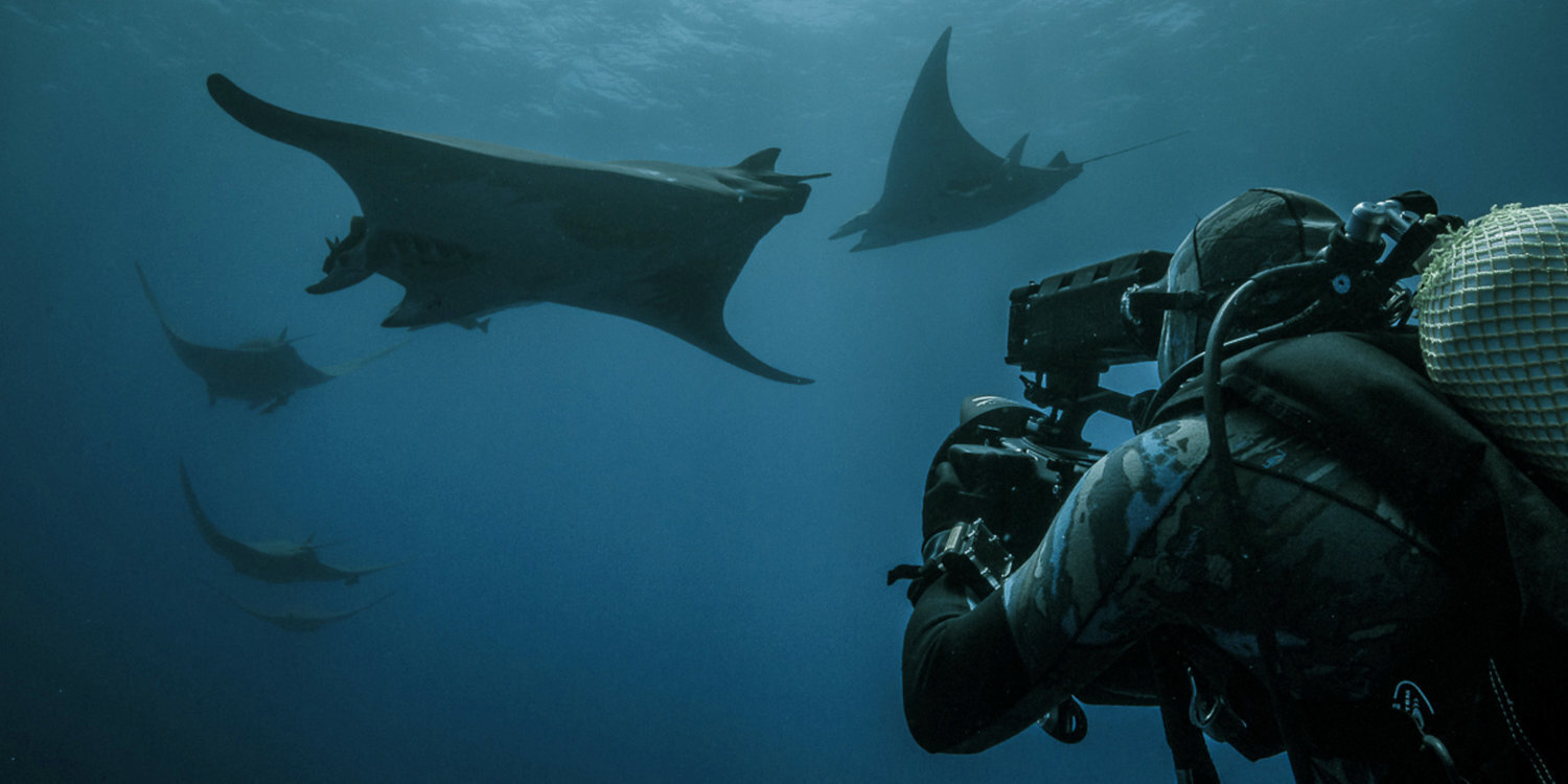 Cinematographer | Roger Horrocks