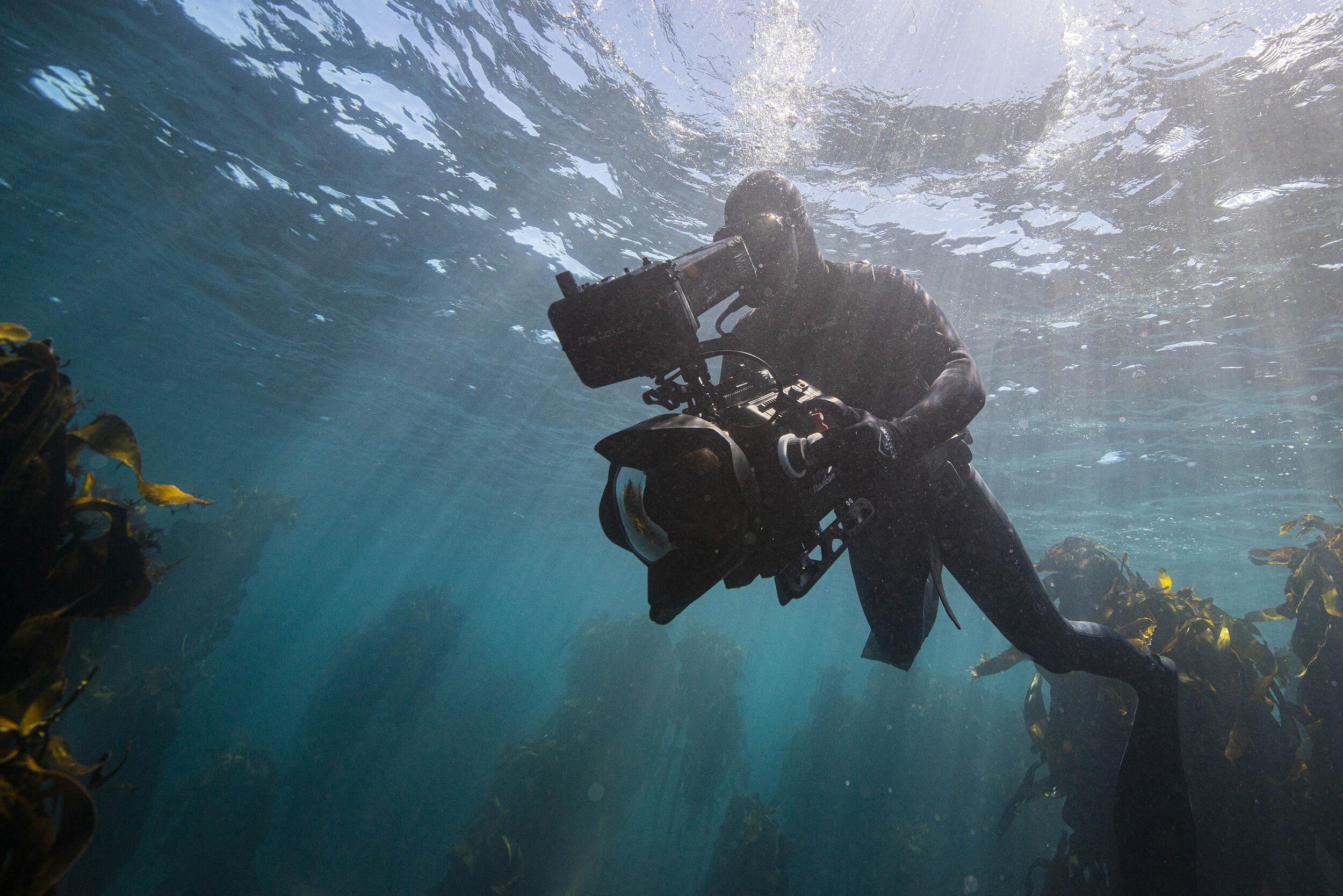 Cinematographer | Roger Horrocks