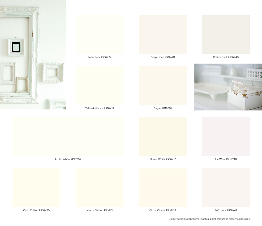 Premier Paint Color Palette
