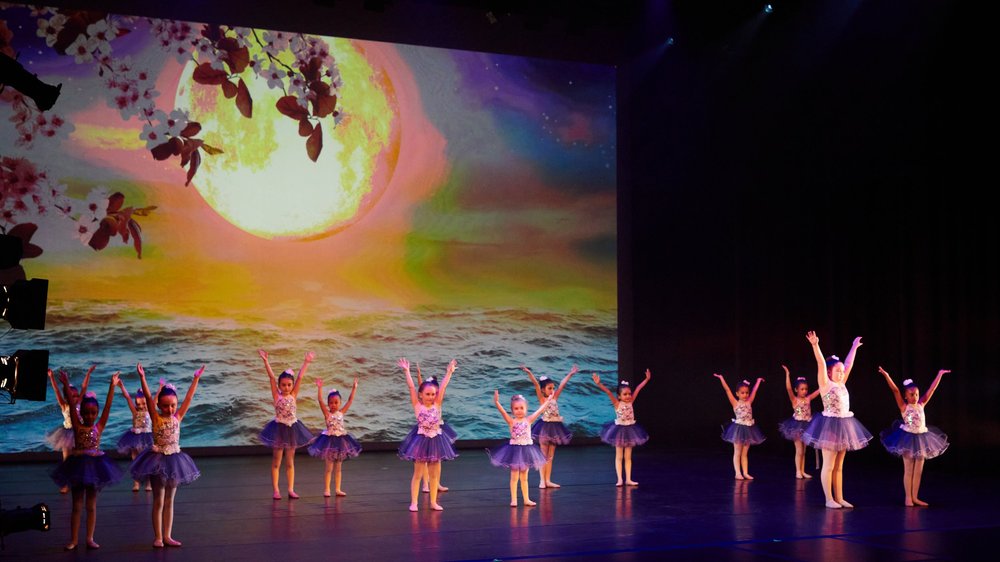 Can Dance Academy
