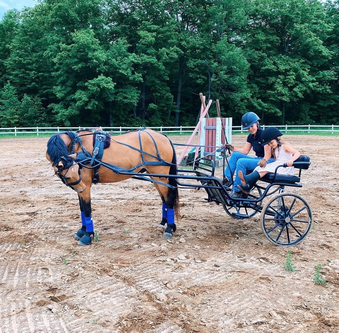 Edenview Equestrian Centre