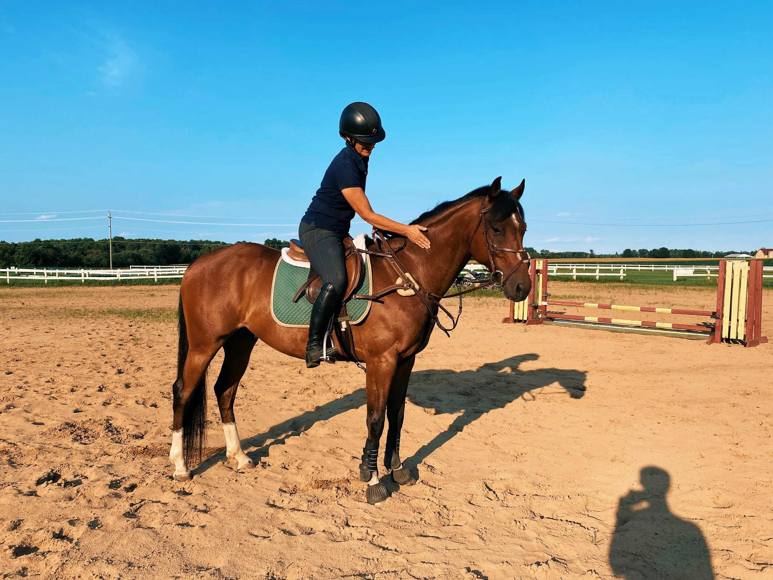 Edenview Equestrian Centre